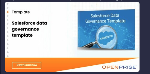 Salesforce data governance template - Openprise